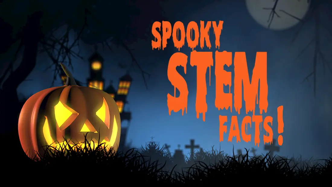 Spooky STEM Facts! - STEM Education Works